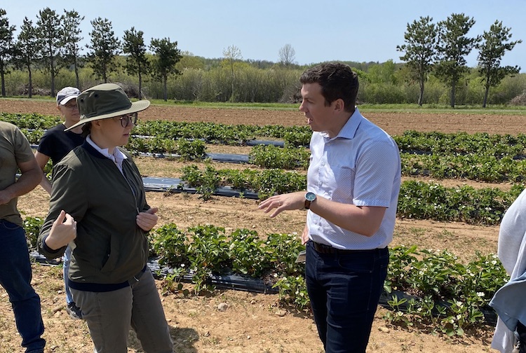 Cpma Names 2023 Produce Champion The Grower